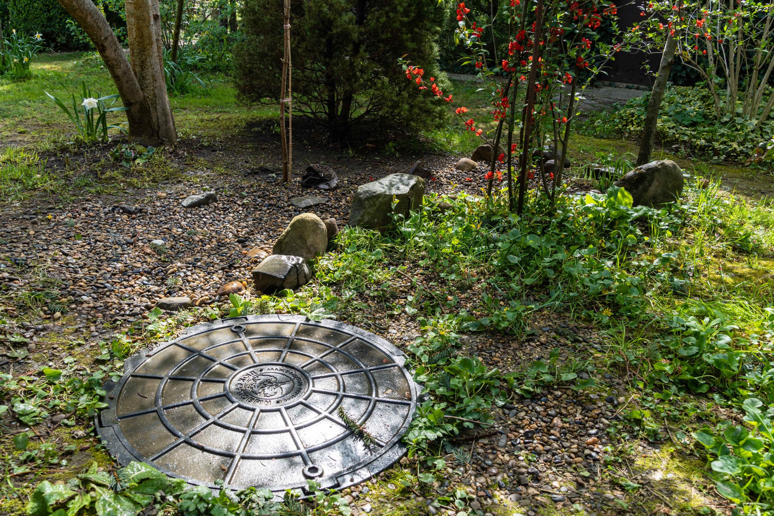 Septic tank friendly landscaping: Enhancing your system's surroundings ...